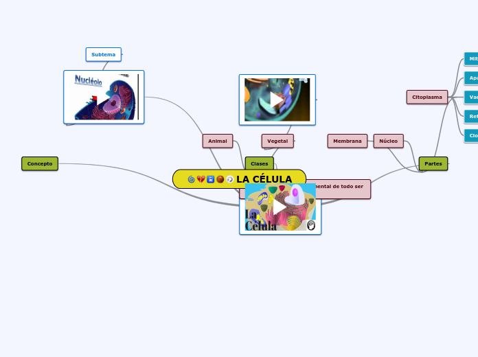 LA CÉLULA - Mind Map